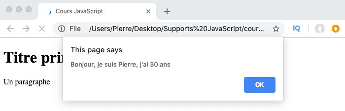 Création d'un objet JavaScript littéral et manipulation de ses membres - Pierre Giraud