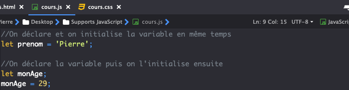 Présentation des variables JavaScript - Pierre Giraud