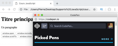 JavaScript API, Browser Object Model et interface Window - Pierre Giraud