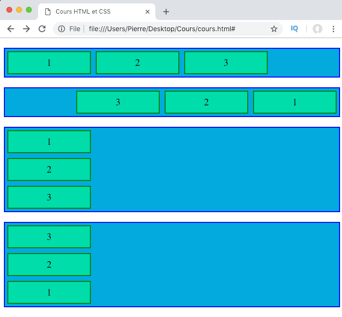 Gérer la direction des éléments flexibles ou flex items - Pierre Giraud