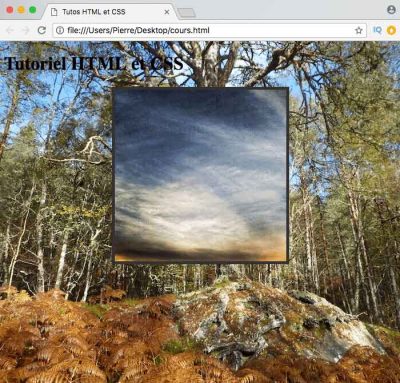 Ajouter des images de fond aux éléments HTML avec background-image CSS