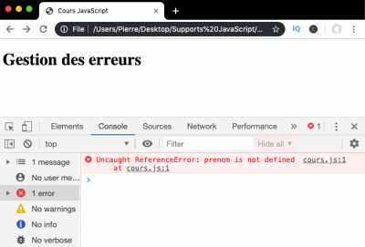 Gestion des erreurs en JavaScript - Pierre Giraud