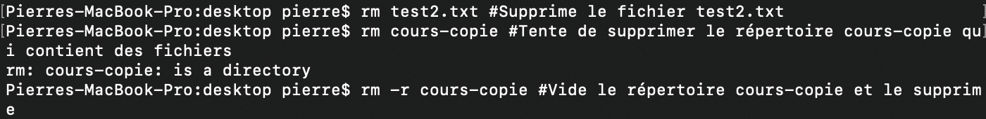 Les commandes Bash de manipulation de fichiers - Pierre Giraud