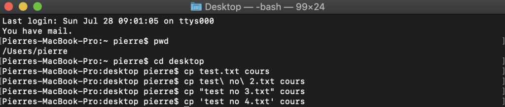 Les commandes Bash : définition et fonctionnement - Pierre Giraud