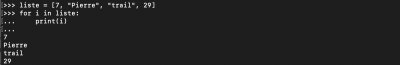Les boucles Python for et while - Pierre Giraud