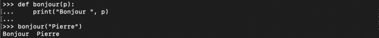Notions avancées sur les paramètres des fonctions Python - Pierre Giraud