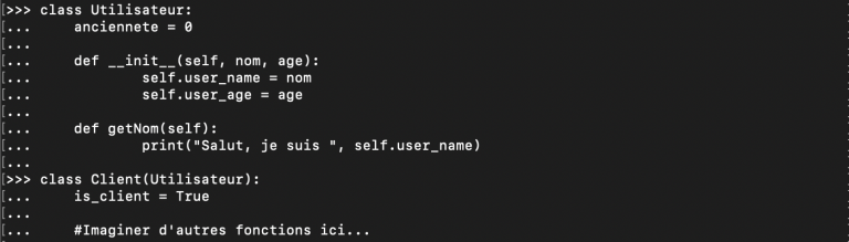 Héritage et polymorphisme en Python orienté objet - Pierre Giraud