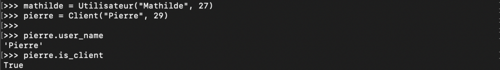 Héritage et polymorphisme en Python orienté objet - Pierre Giraud