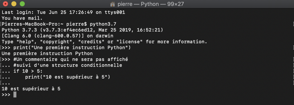 Syntaxe de base et exécution d'instructions Python - Pierre Giraud