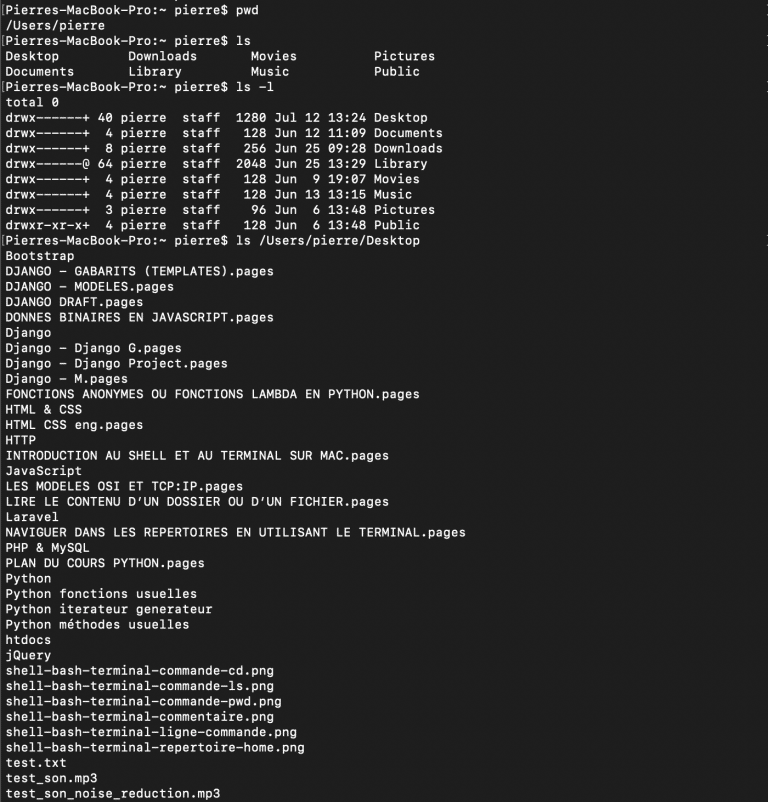 Les commandes de lecture Bash - Pierre Giraud