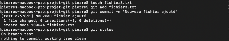 Les branches git - Pierre Giraud