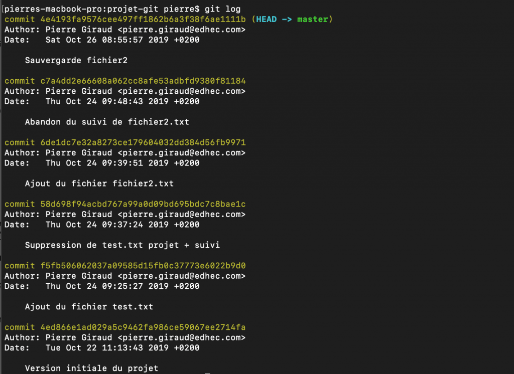 Annuler des actions et consulter l’historique des modifications Git - Pierre Giraud